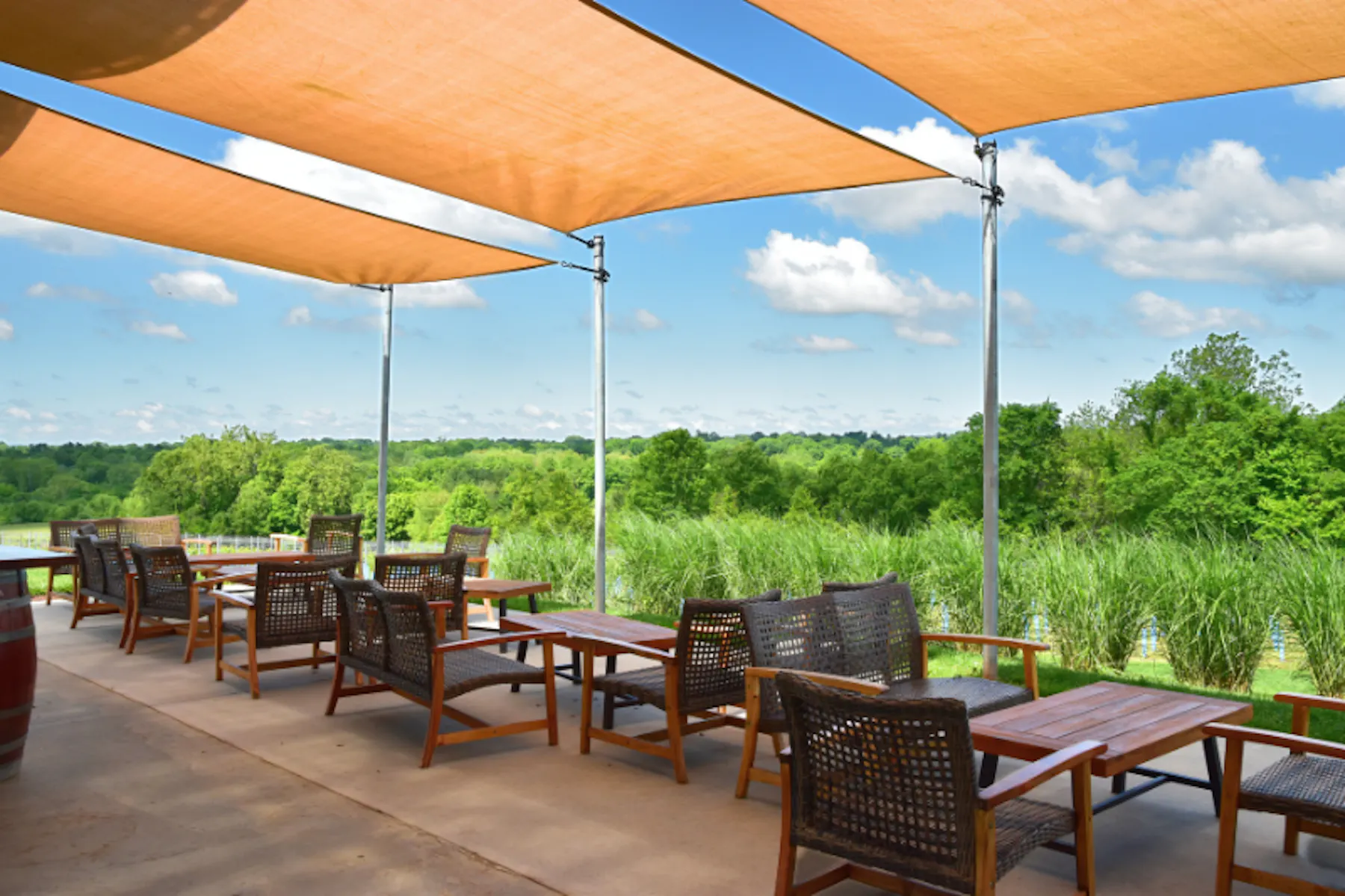 Windridge Vineyards - Darnestown, MD | Tock