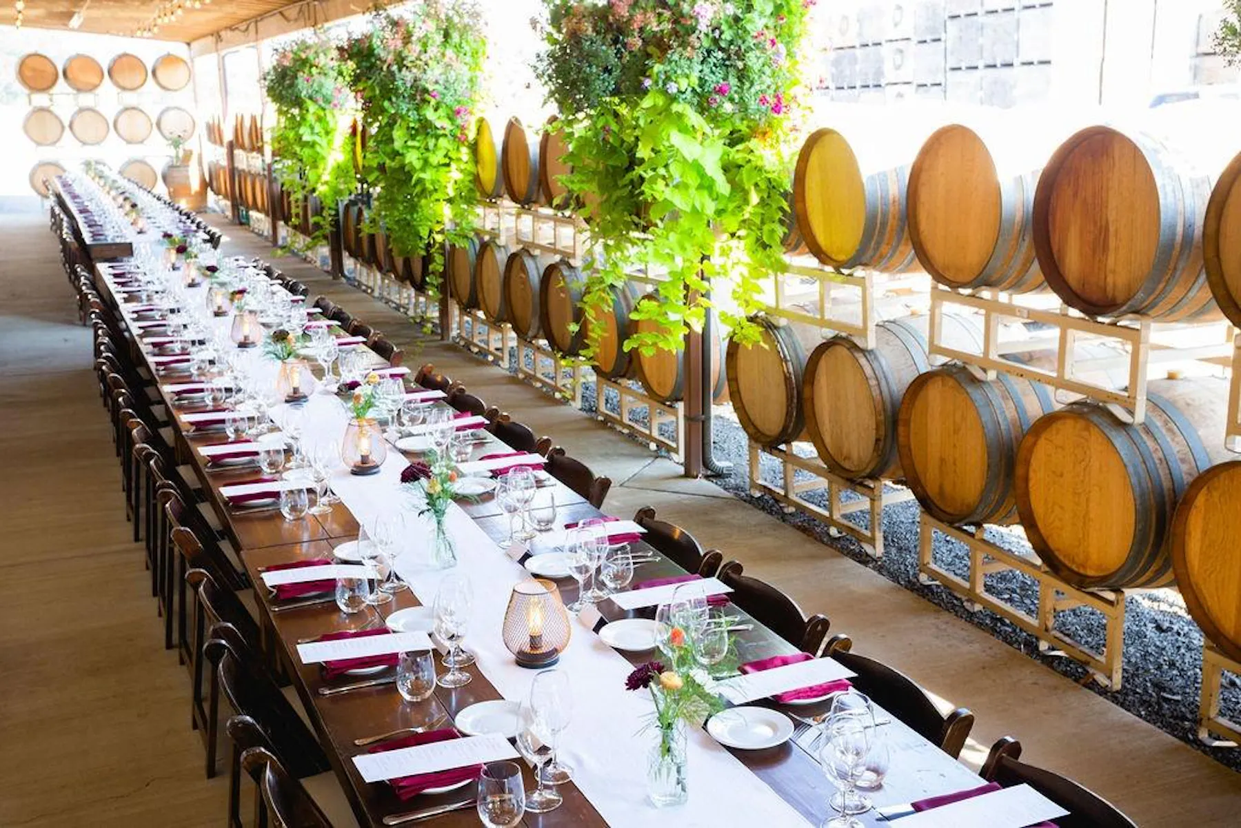 ROCO Winery - Newberg, OR | Tock