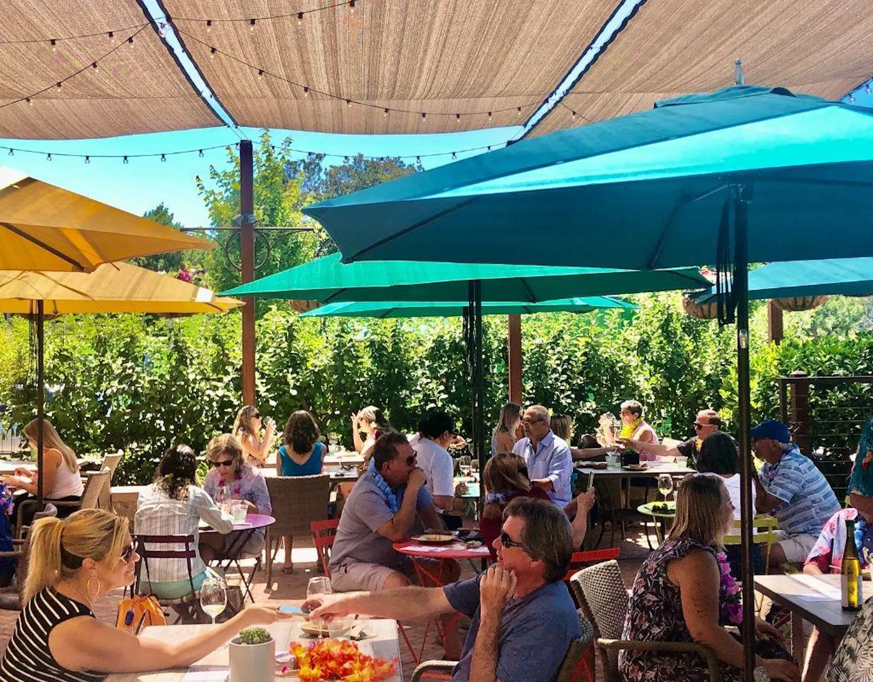 Clif Family Winery - St. Helena, CA | Tock