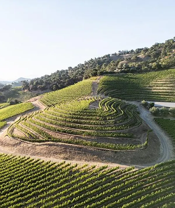 Shafer Vineyards - Napa, CA | Tock