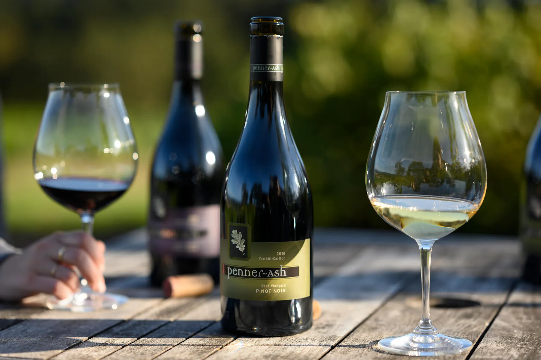 Penner-Ash Wine Cellars - Newberg, OR | Tock