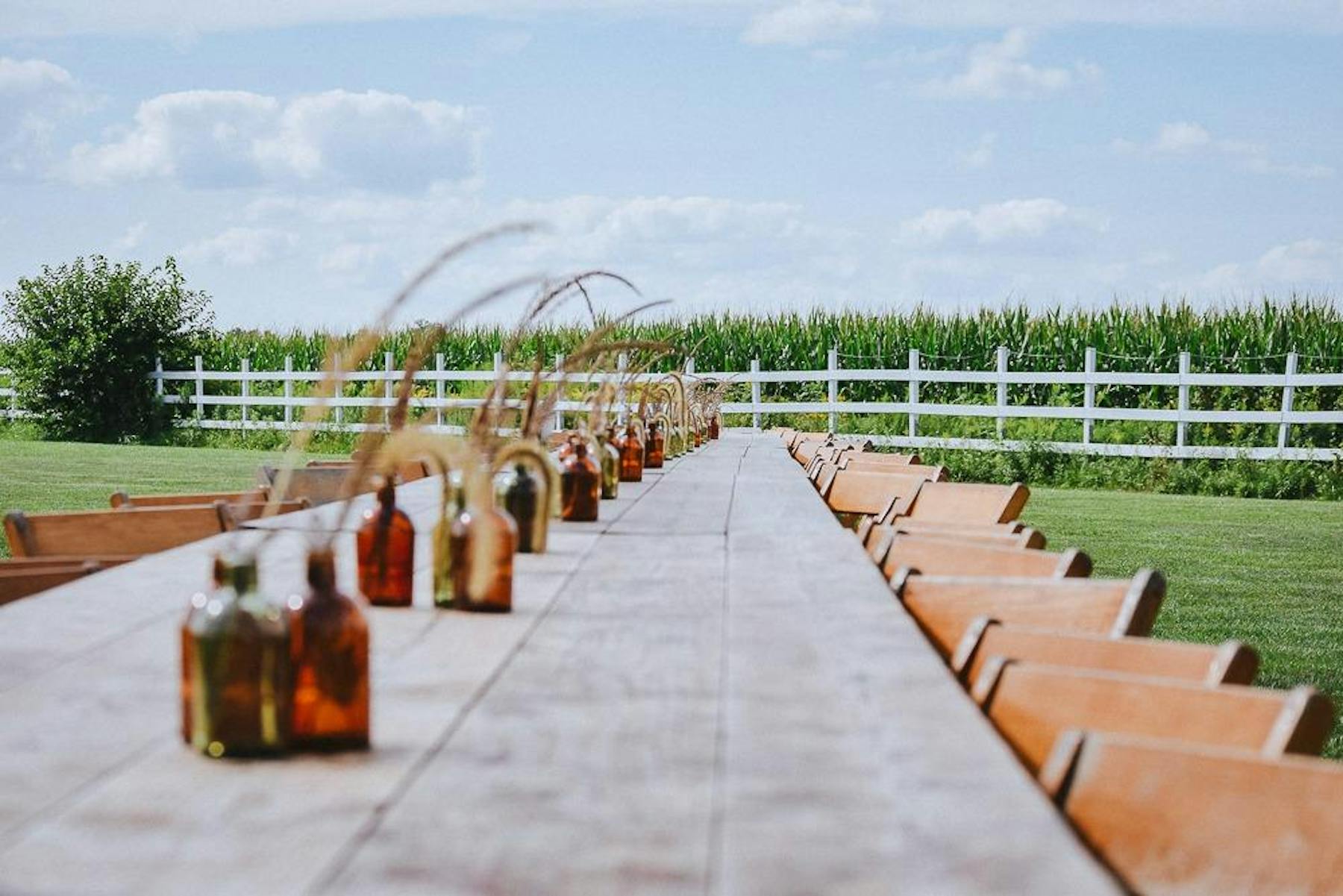 Locavore Farm - Grant Park, IL | Tock