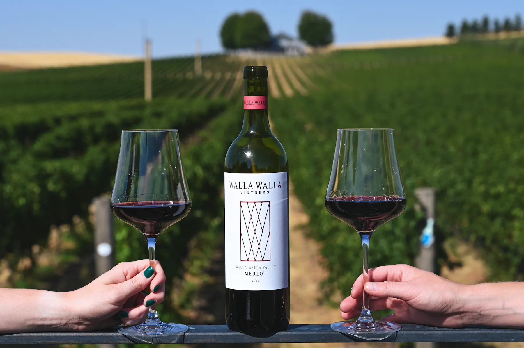 Walla Walla Vintners - Walla Walla, WA | Tock