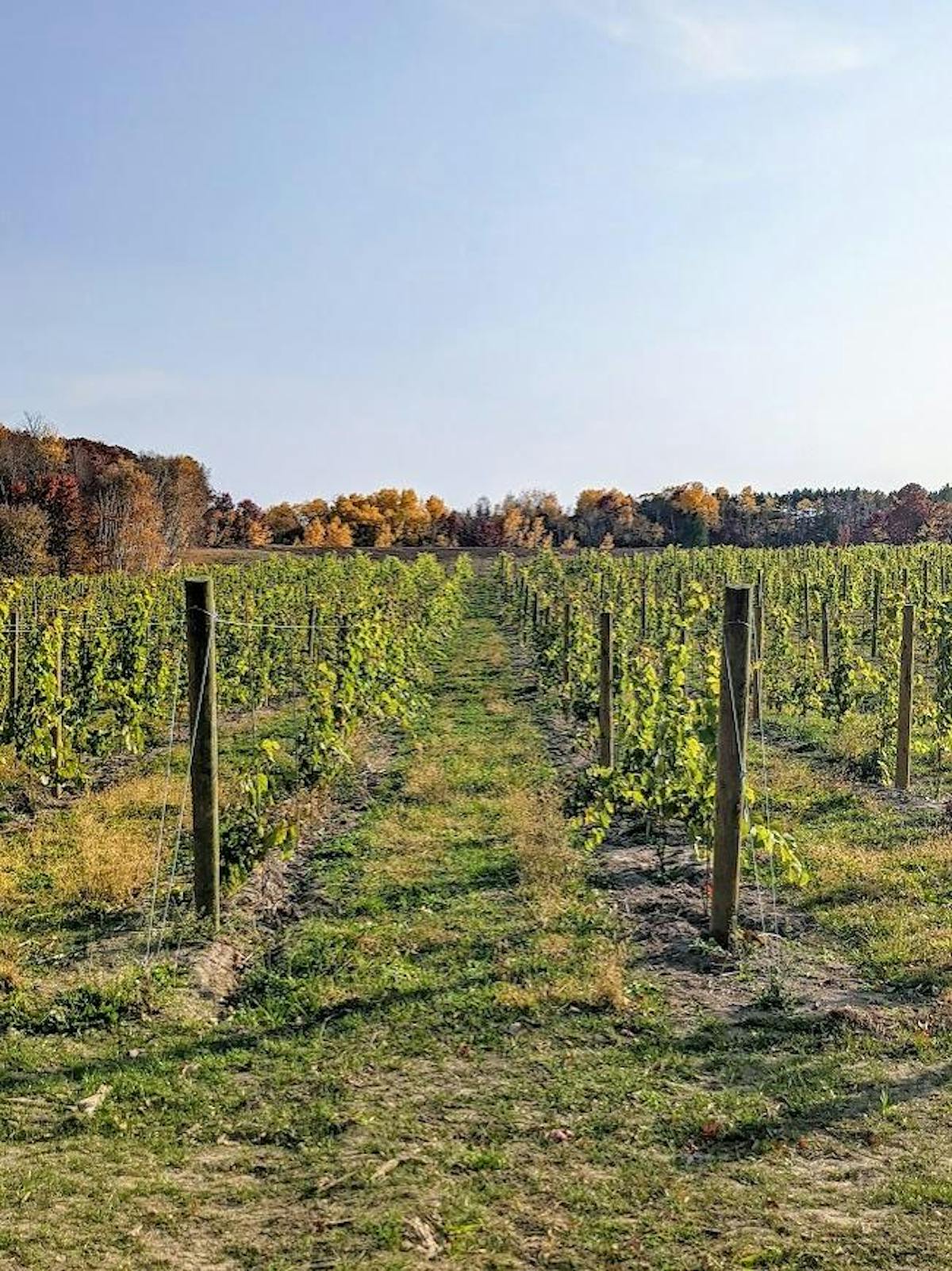 Rustic Roots Winery - Indoor Seating - Scandia, MN | Tock