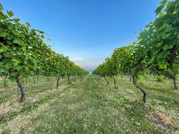 Sovereign Estate - Waconia, MN | Tock