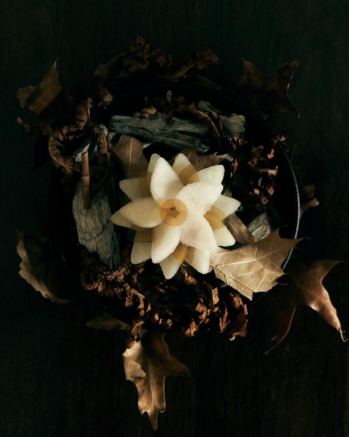 Amisfield - Central Otago, Queenstown, OTAGO | Tock