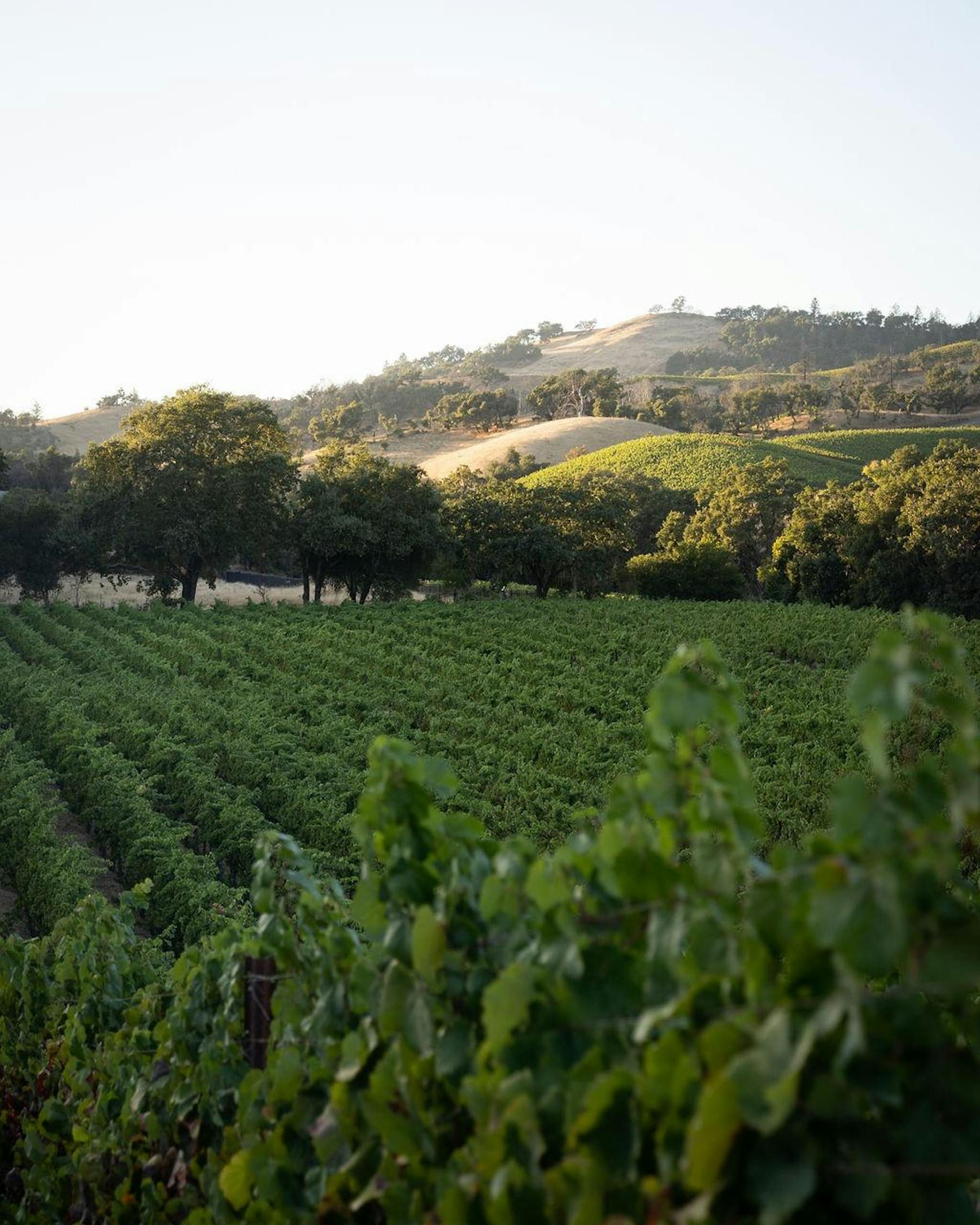 Turks Head Wines - West Chester, PA | Tock