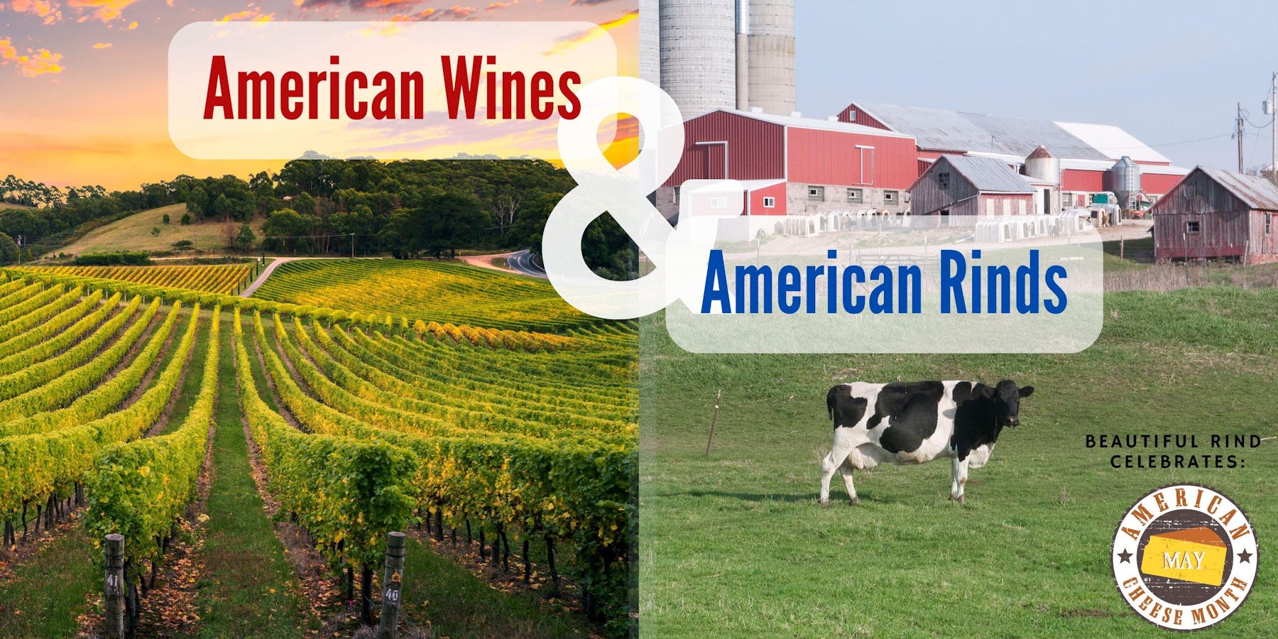 Beautiful Rind - Chicago, IL | Tock