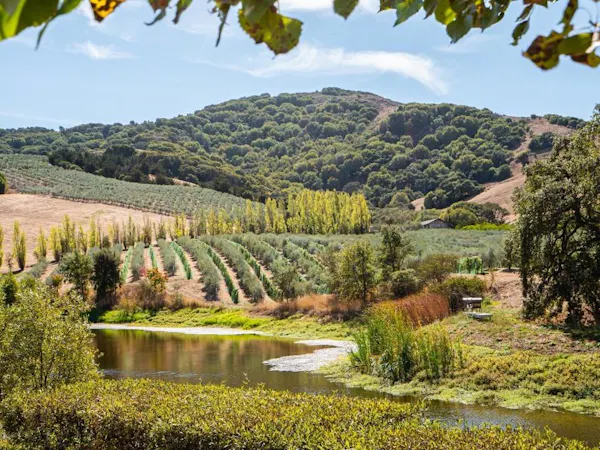 McEvoy Ranch - Private Walking Tour - $95 per Person - Petaluma, CA | Tock