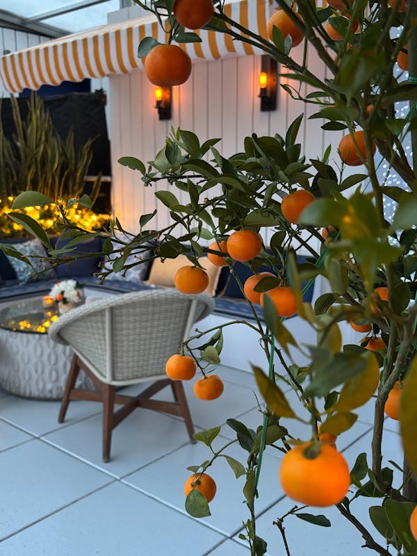 Sandbar Rooftop - New York, NY | Tock