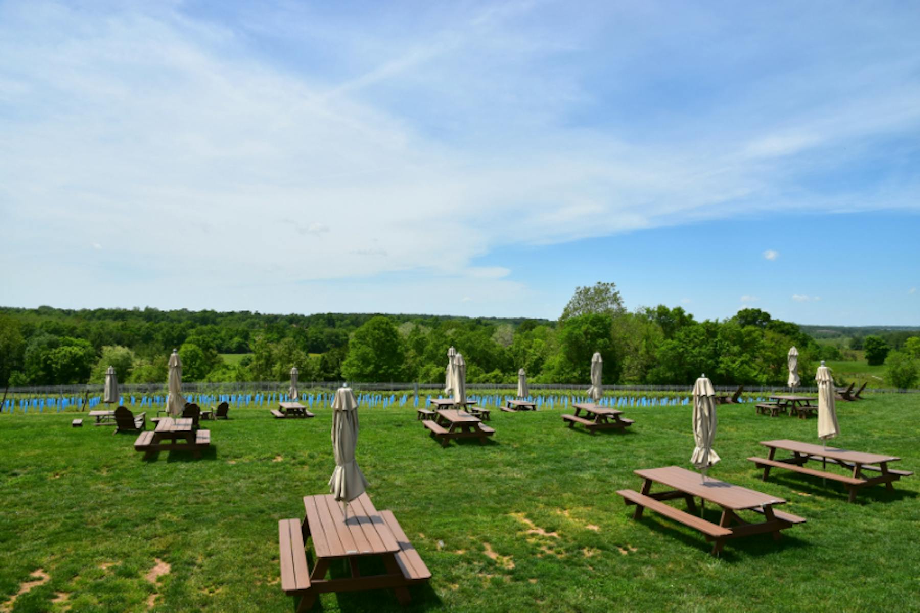 Windridge Vineyards - Wood Burning Fire Pit, Weekend, Friday thru ...