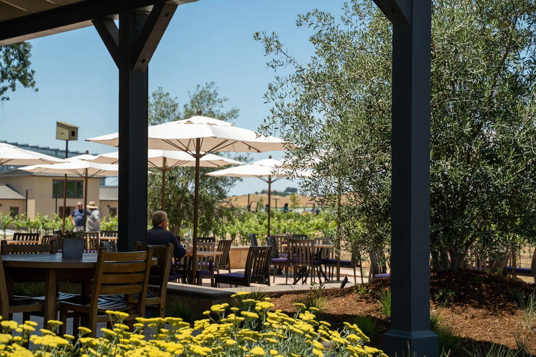J. Lohr Paso Robles Wine Center - Paso Robles, CA | Tock