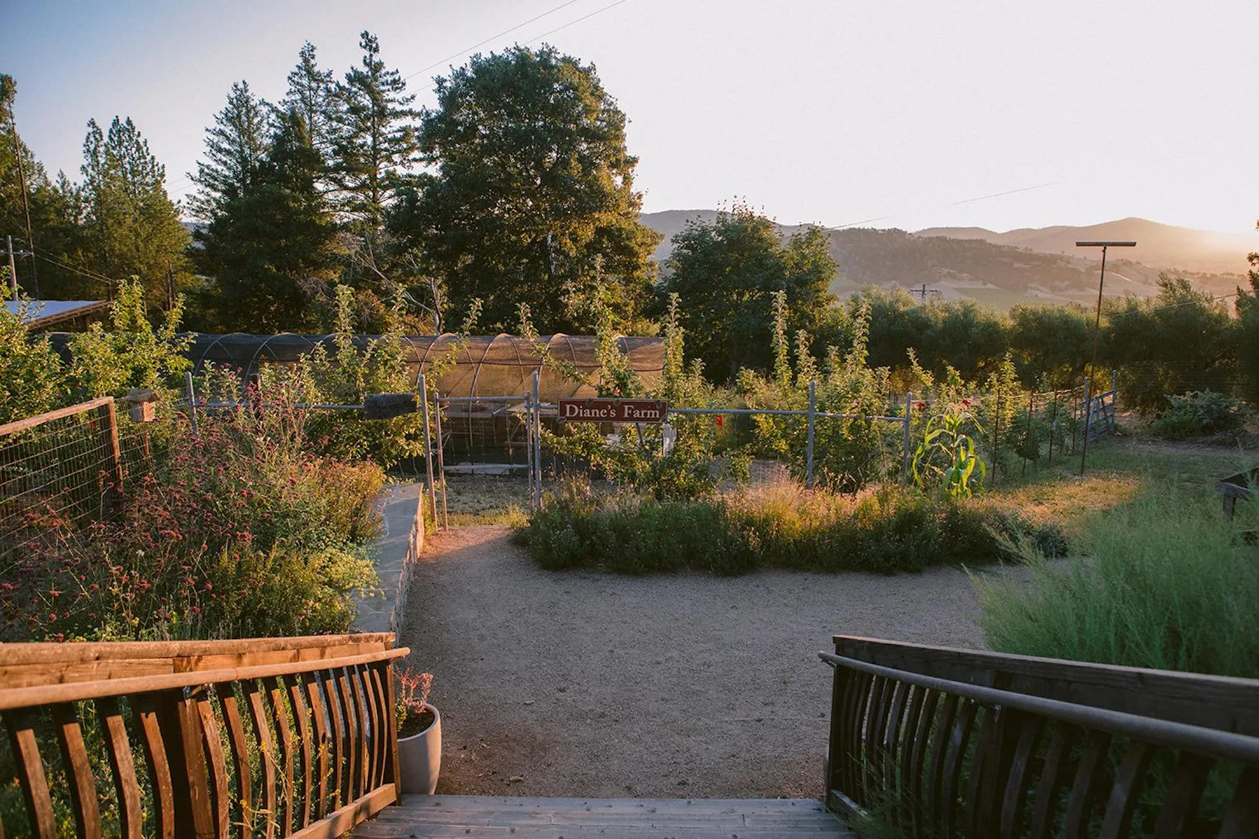 Clif Family Winery - St. Helena, CA | Tock