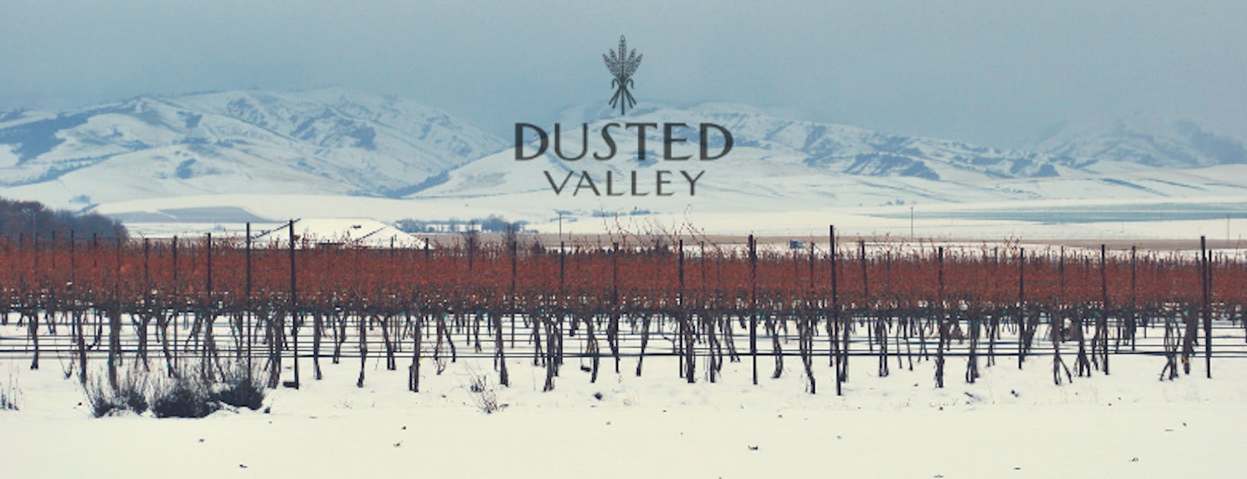 Dusted Valley Walla Walla Tasting Room - Spring - Signature Tasting at ...