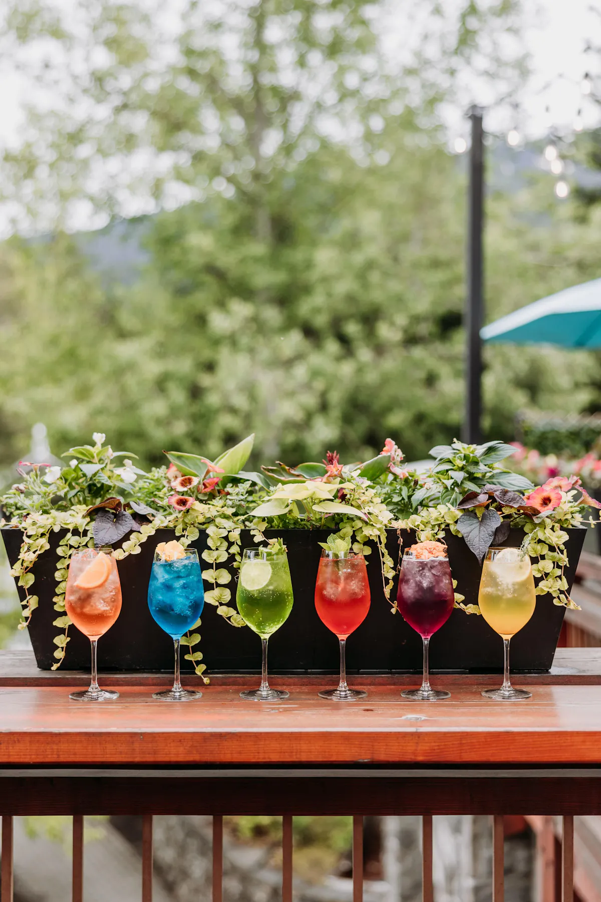 The Raven Room - Whistler, BC | Tock