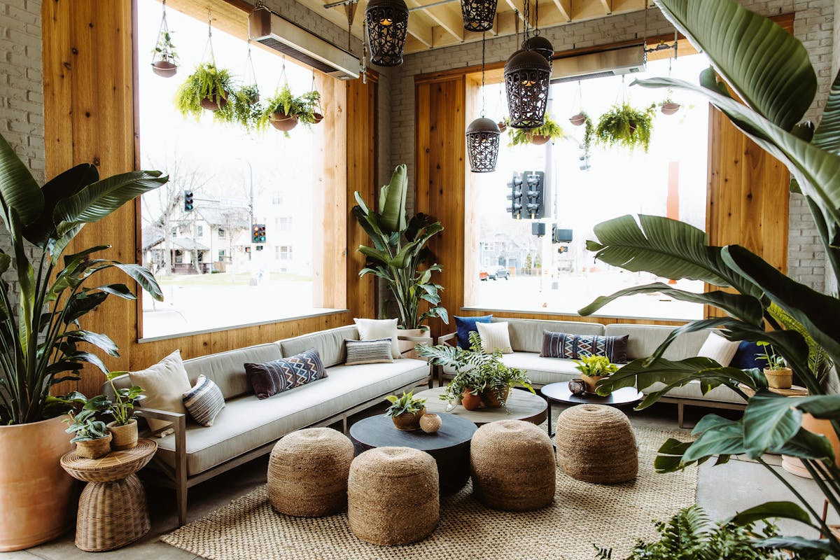 Khâluna - Minneapolis, MN | Tock