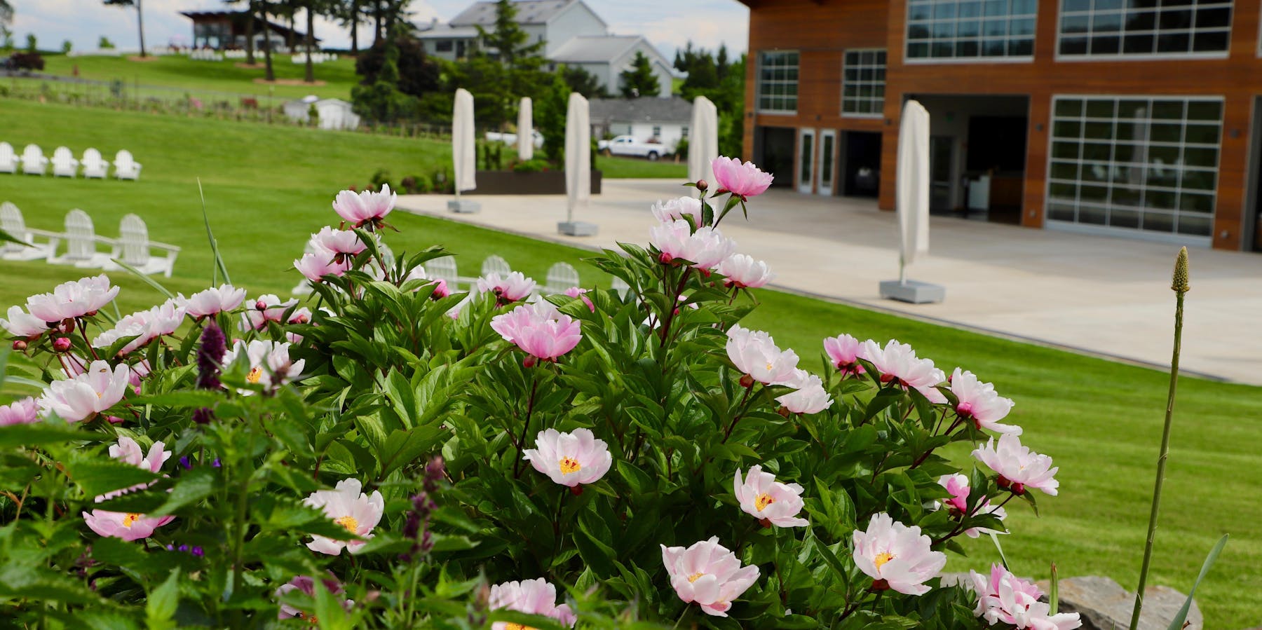 Stoller Family Estate - Reserve Winery Tour and Tasting - US | Tock