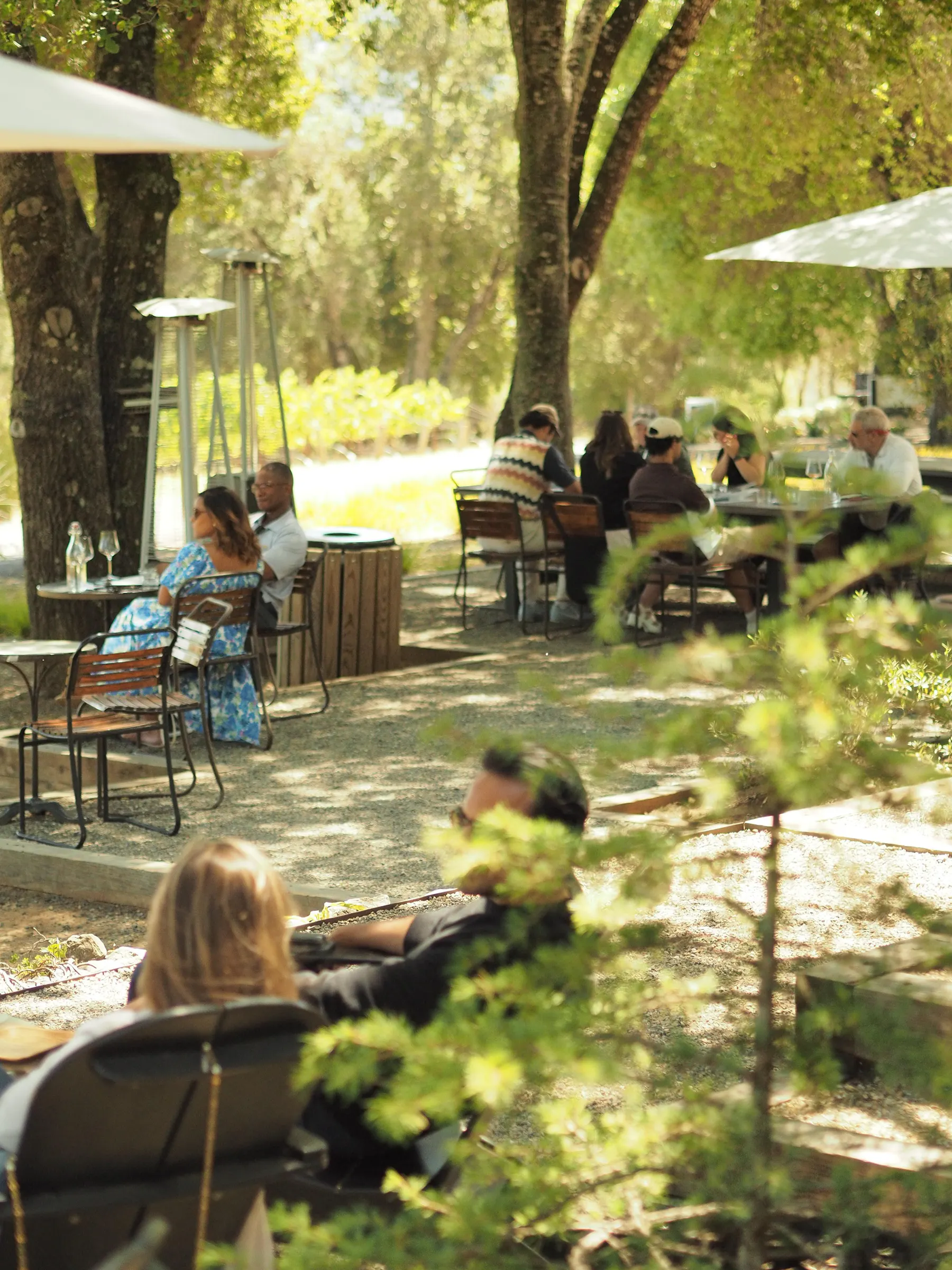 Reeve Wines - Healdsburg, CA | Tock
