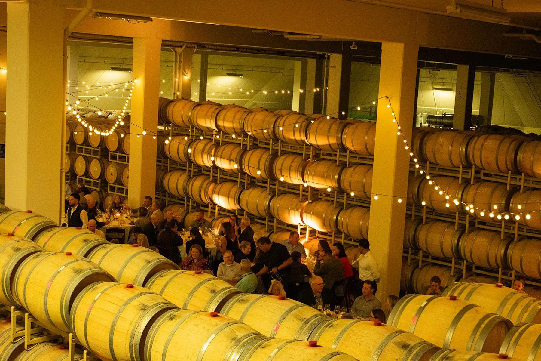 Artesa Vineyards & Winery - Unique Artesa Wine Experience - Napa, CA | Tock