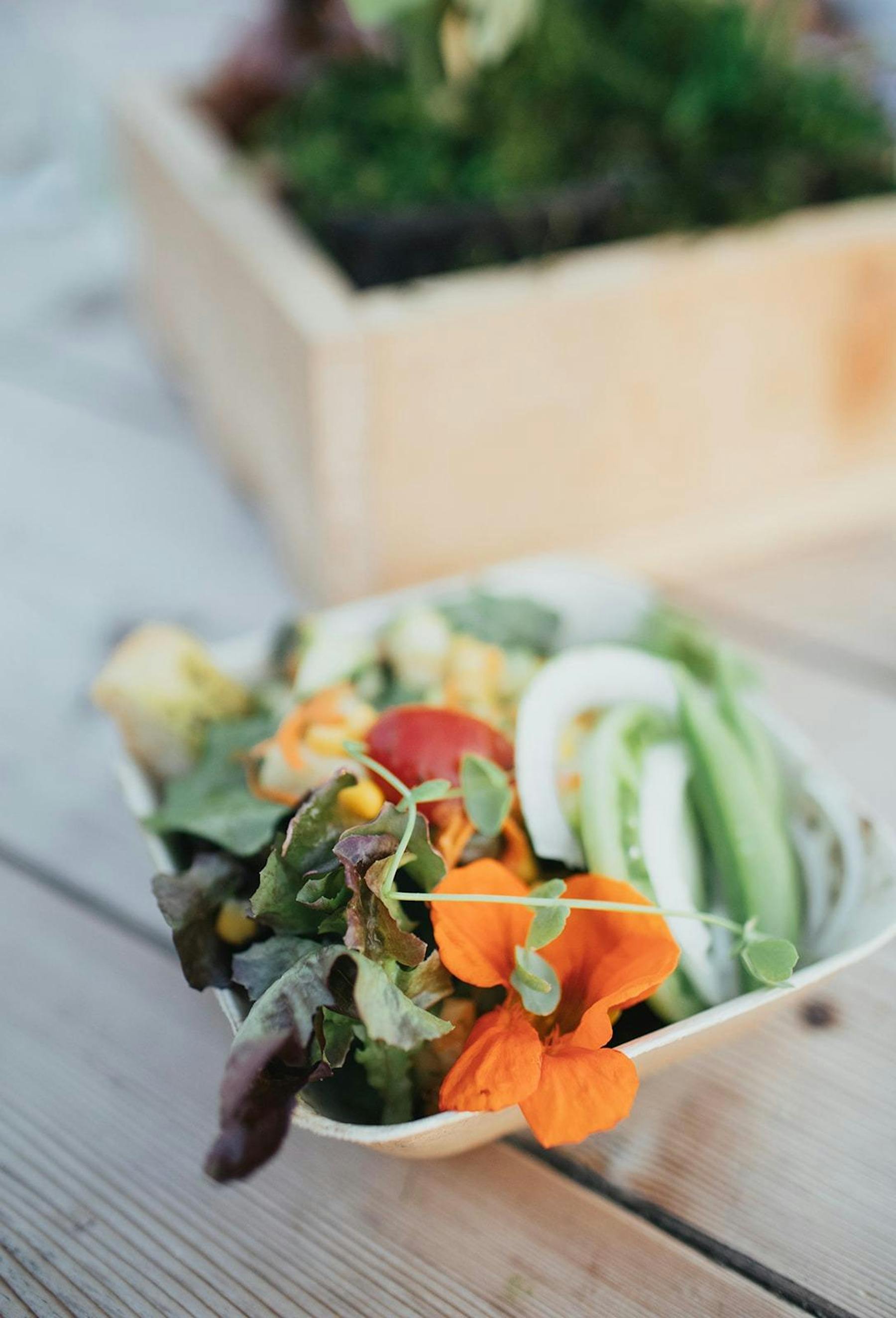 Locavore Farm - Grant Park, IL | Tock