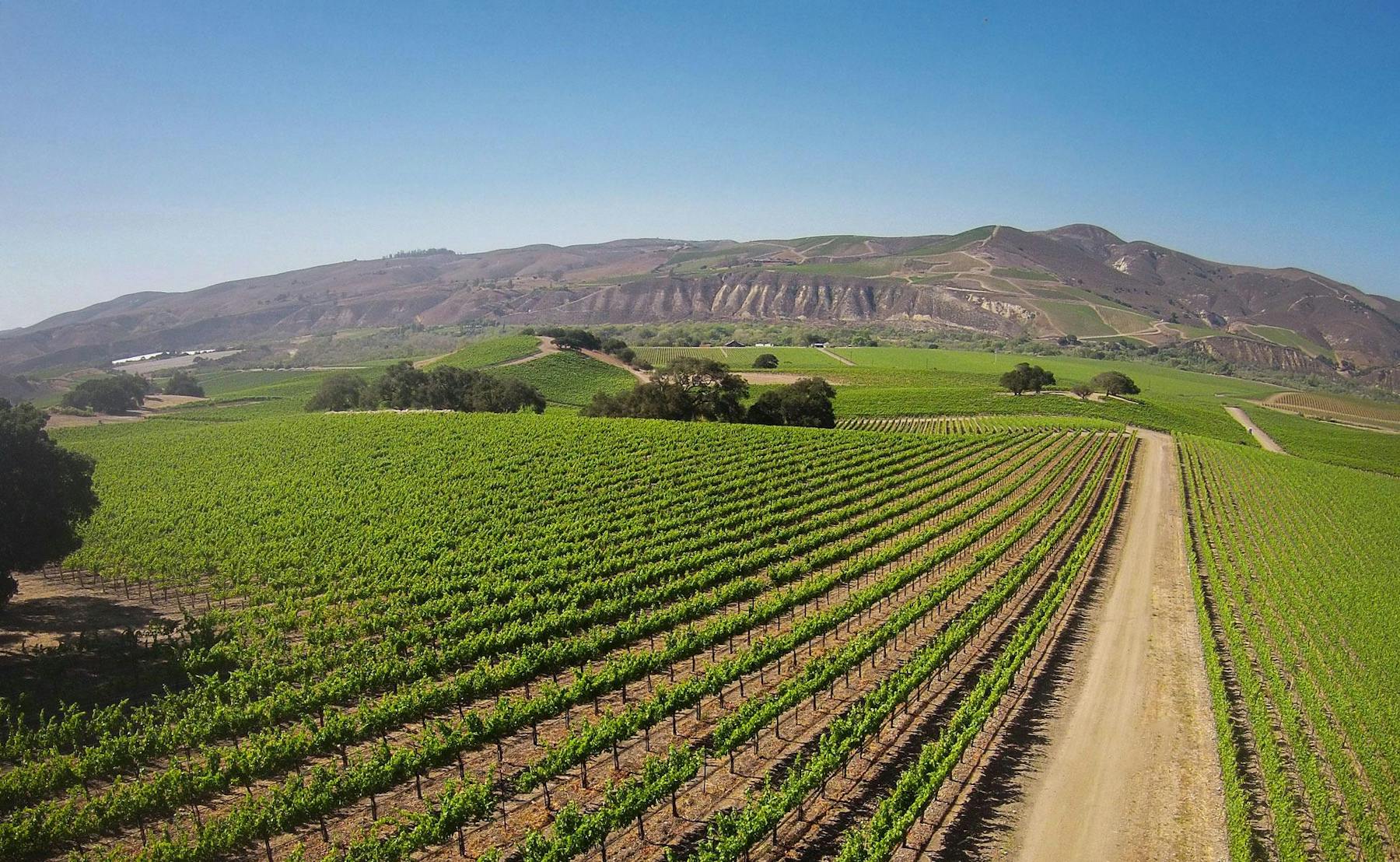 Testarossa Winery - Los Gatos, CA | Tock