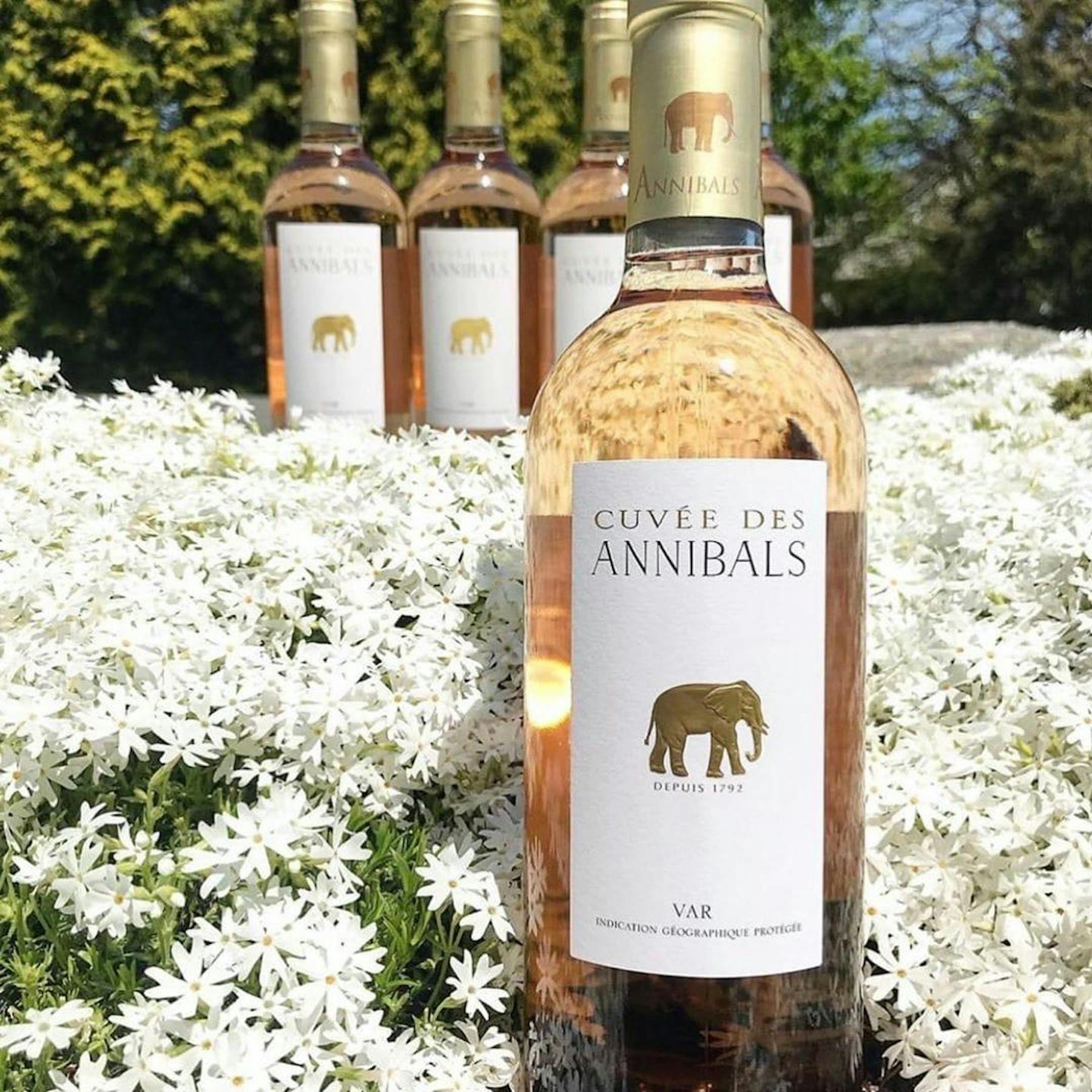 RoCA - Des Moines, IA | Tock