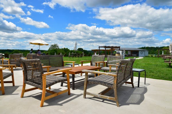 Windridge Vineyards - Vineyard & Winery Tasting Tour - Darnestown, MD ...