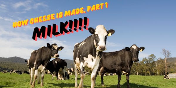 Beautiful Rind - Chicago, IL | Tock