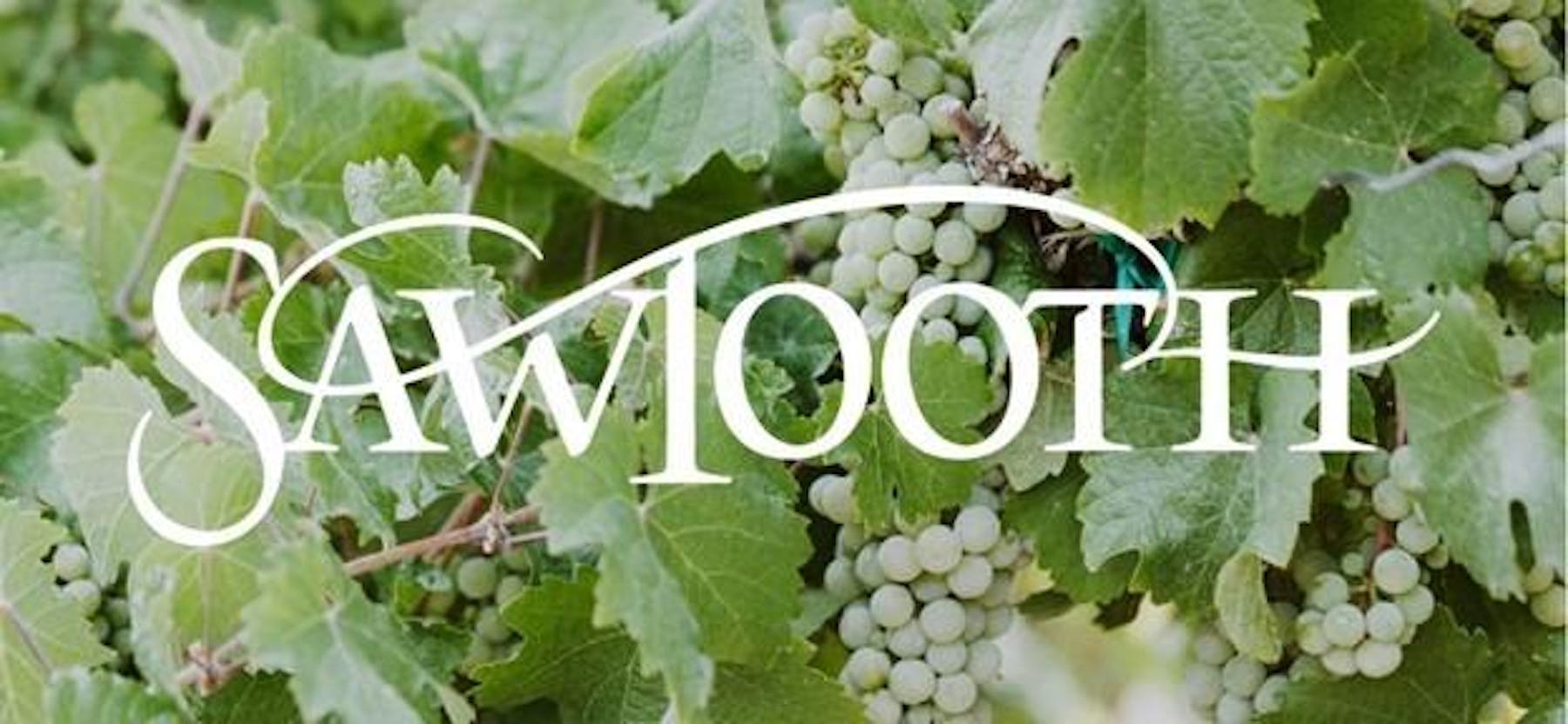 Sawtooth Winery and Tasting Room - Caldwell, ID | Tock