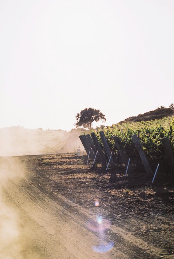 The Hilt Estate - Lompoc, CA | Tock