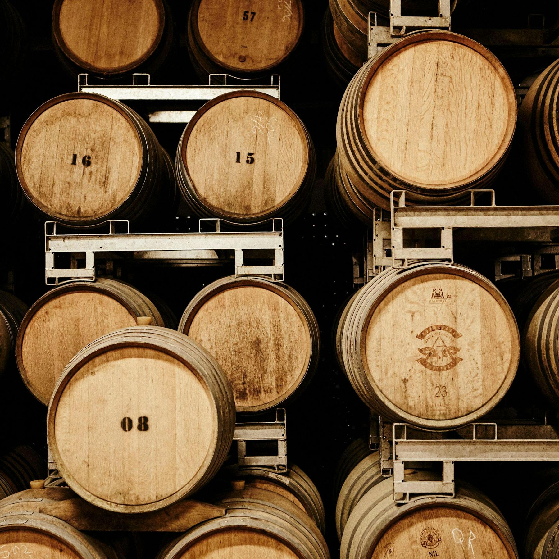 Hambledon Vineyard - Hambledon, ENGLAND | Tock