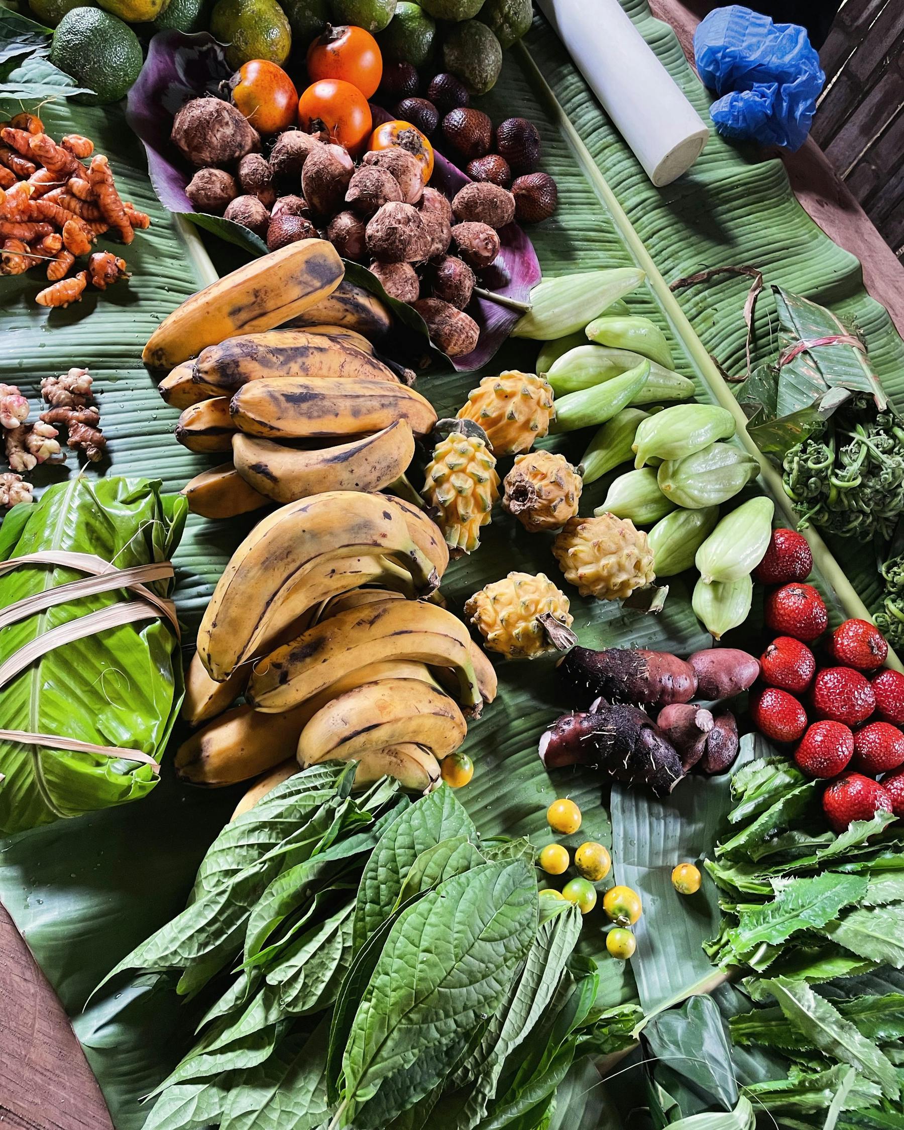 SOMOS - Quito, PICHINCHA | Tock