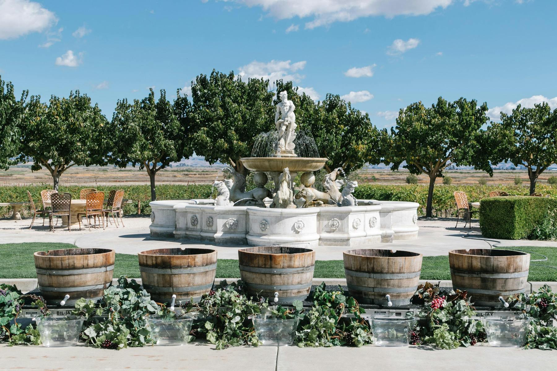 Jacuzzi Family Vineyards - Sonoma, CA | Tock