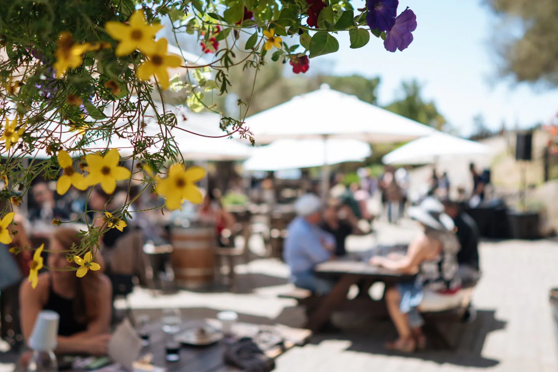 Gundlach Bundschu Winery - Bundschu Heritage Tasting - Sonoma, CA | Tock