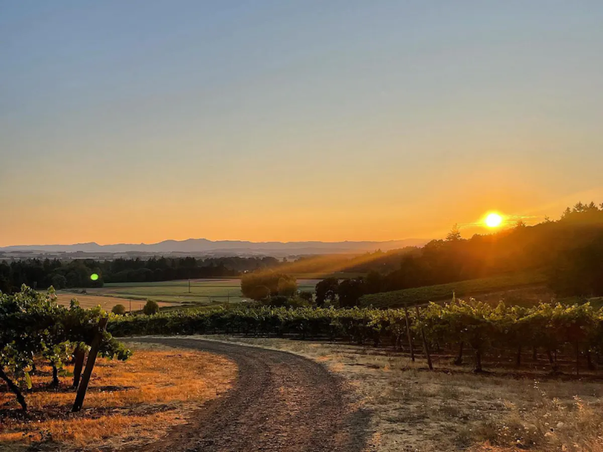 Ankeny Vineyard - Salem, OR | Tock