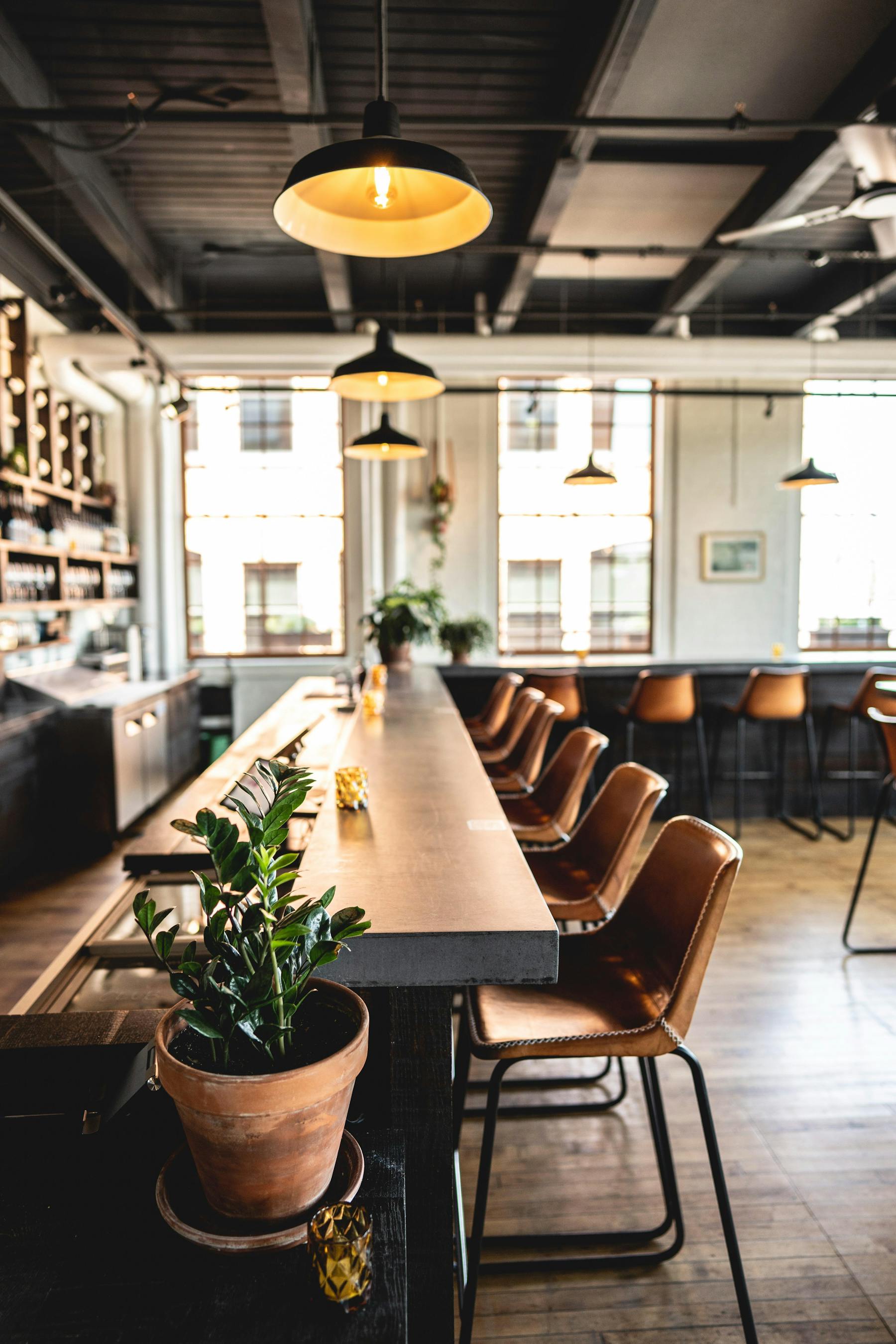 Living Roots - Rochester - Rochester, NY | Tock