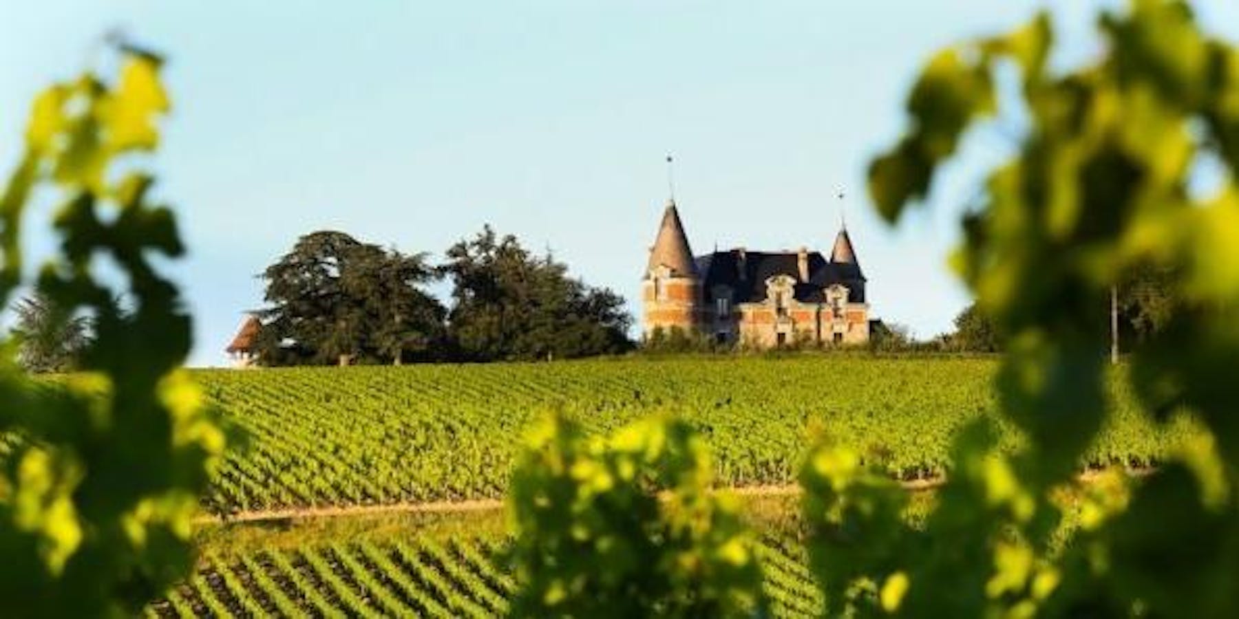 Nice Winery - Houston, TX | Tock