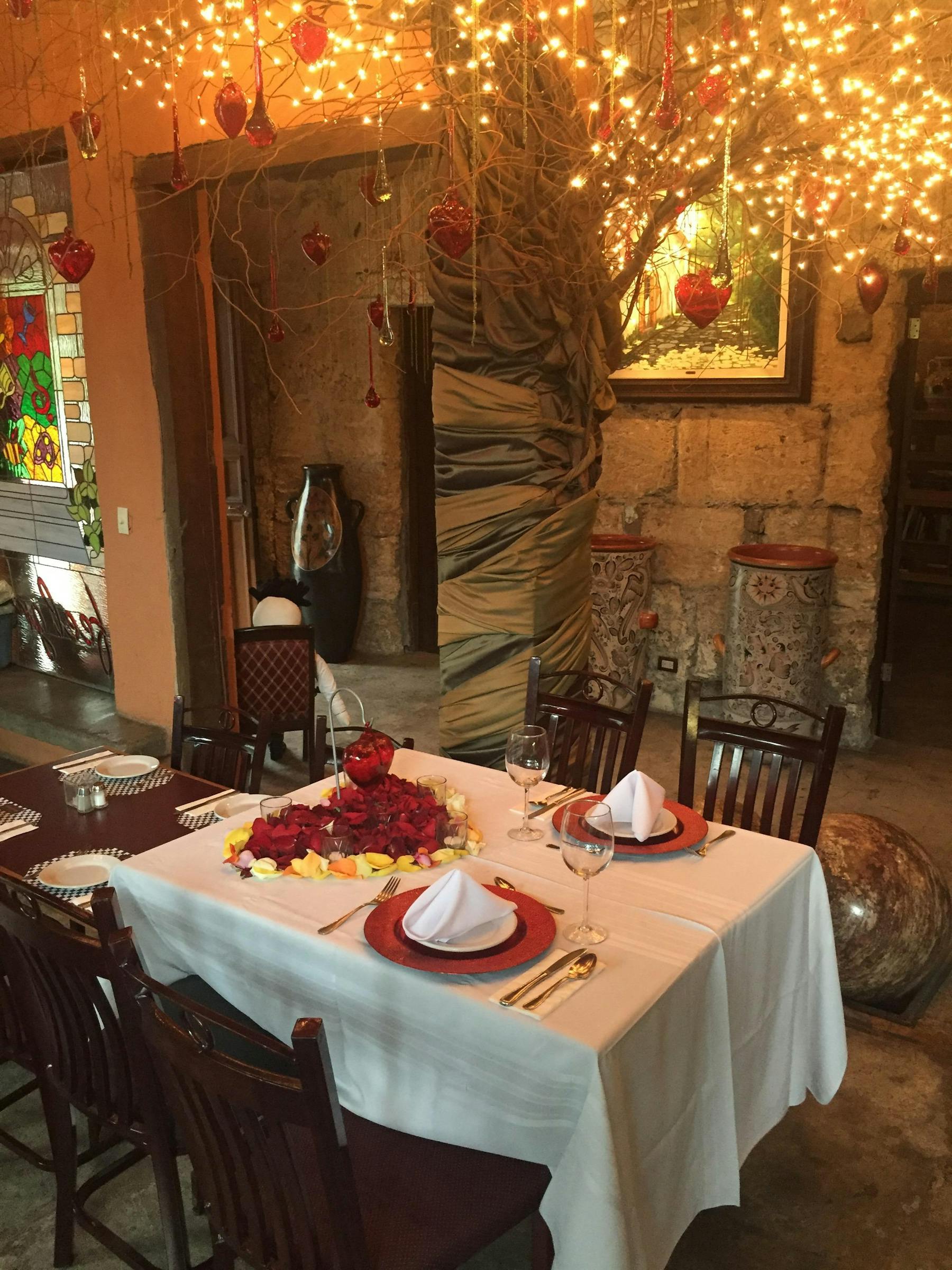 Feelgrow - Monterrey, N.L. | Tock