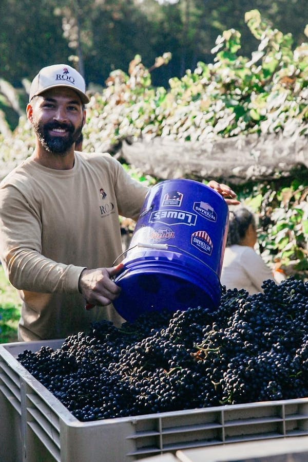 Roo Mountain Vineyards - Ellijay, GA | Tock