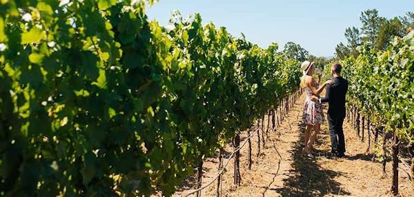 DeLoach Vineyards - Burgundy Sonoma Tasting - Santa Rosa, CA | Tock