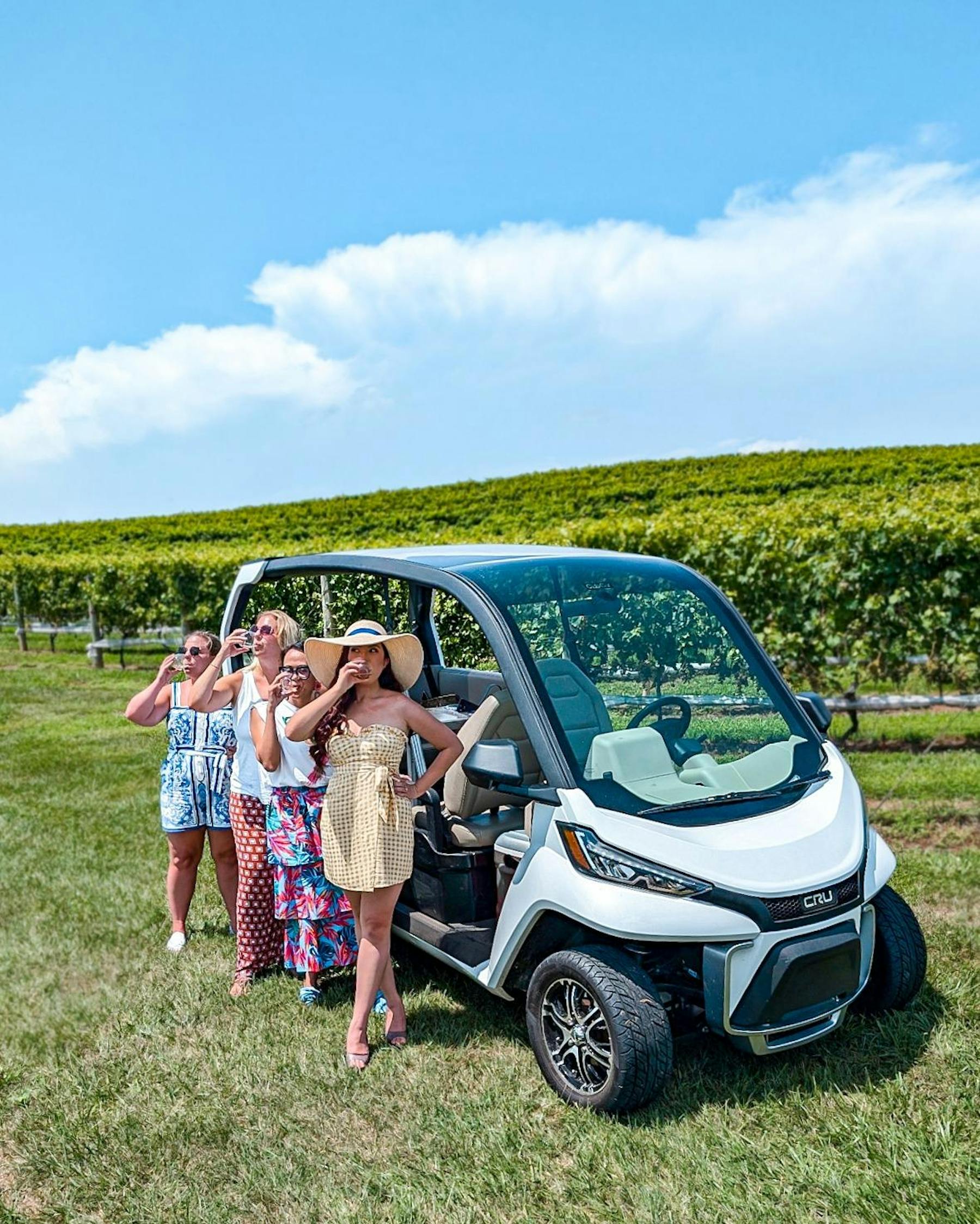 Linganore Winecellars - Mount Airy, MD | Tock