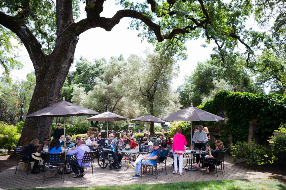 Beringer Vineyards - Discover Beringer Outdoor Experience - St. Helena ...