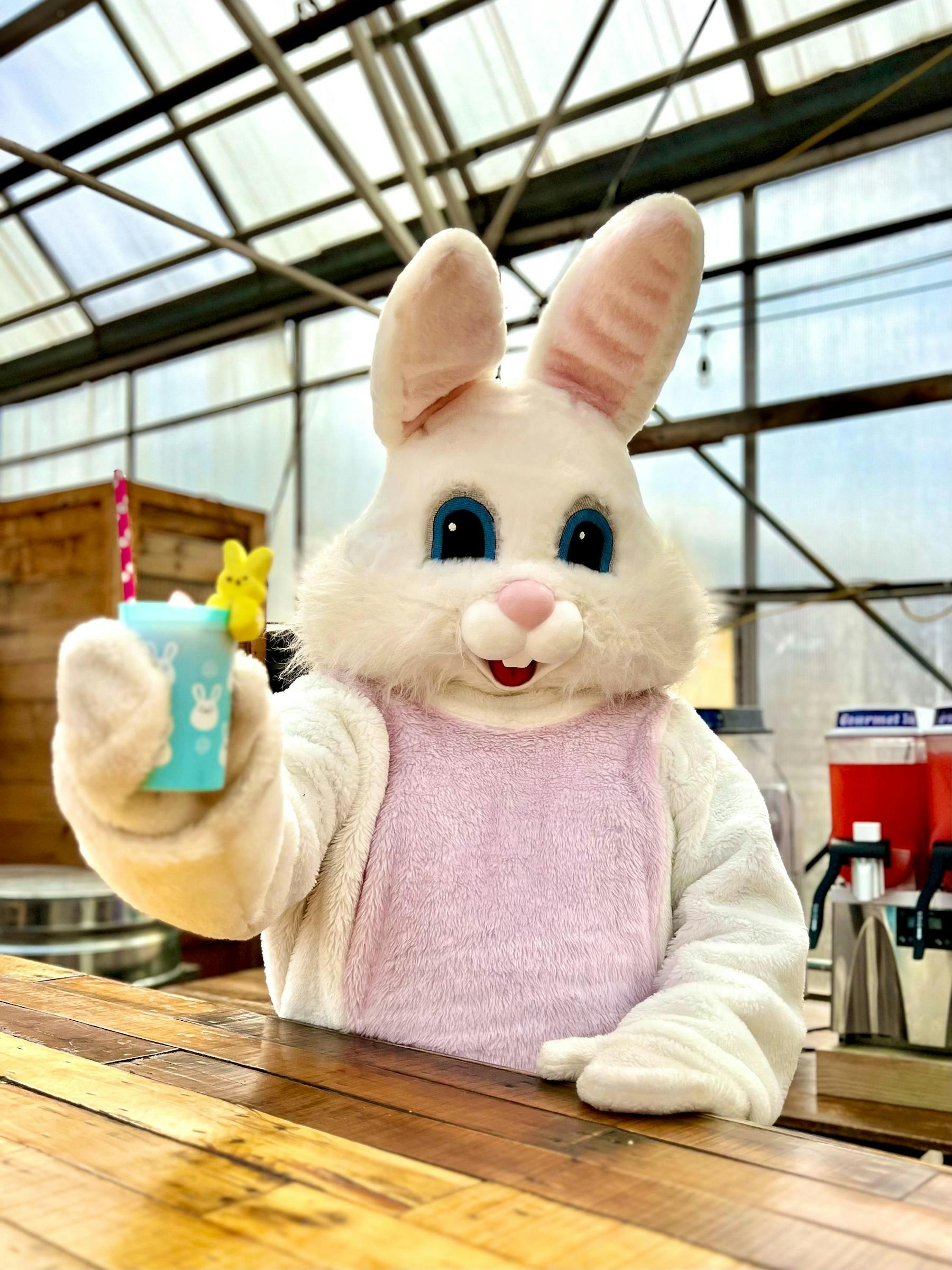 Lookout Farm Brewing & Cider Co. Taproom - Natick, MA | Tock