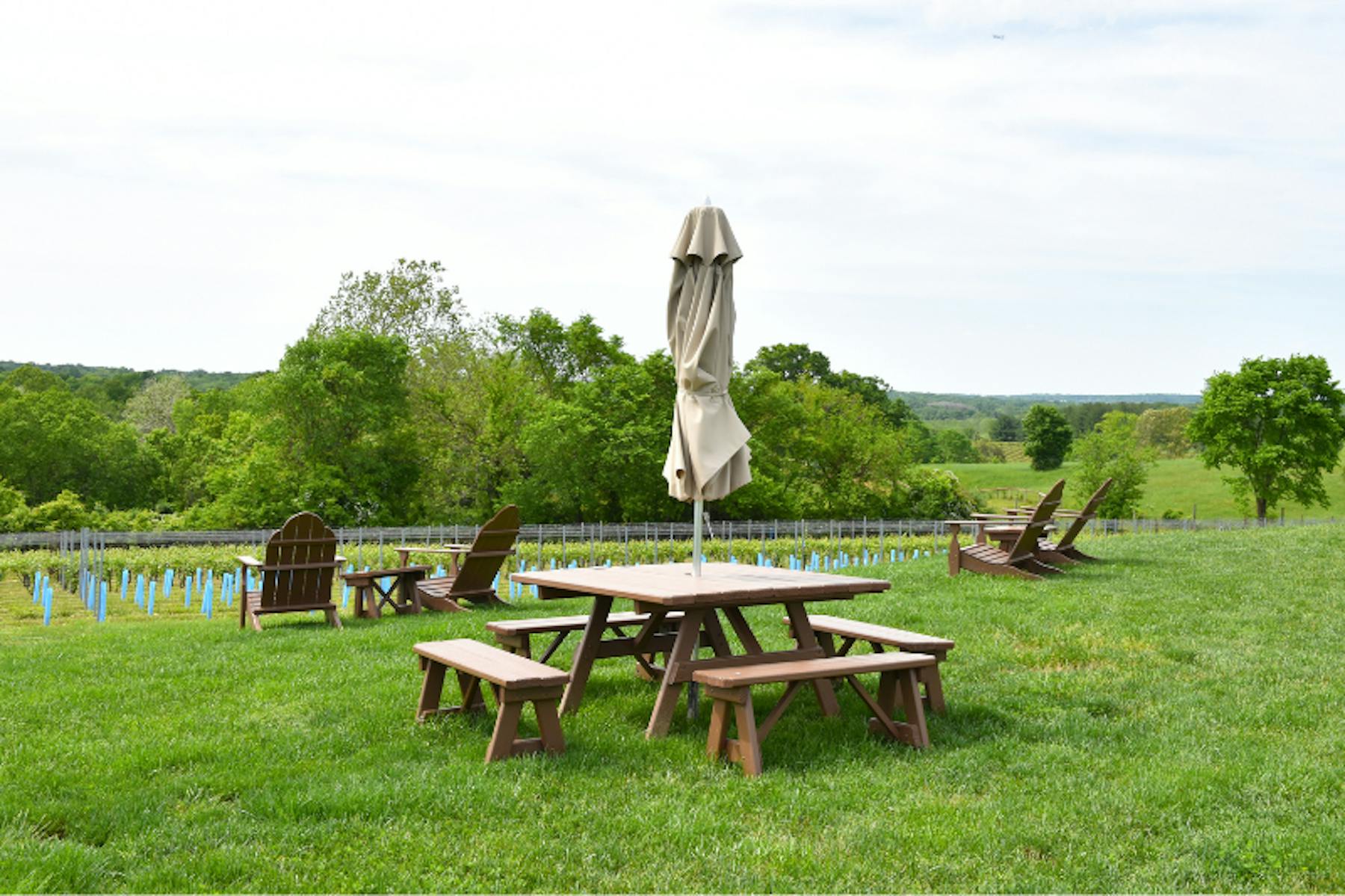 Windridge Vineyards - Darnestown, MD | Tock