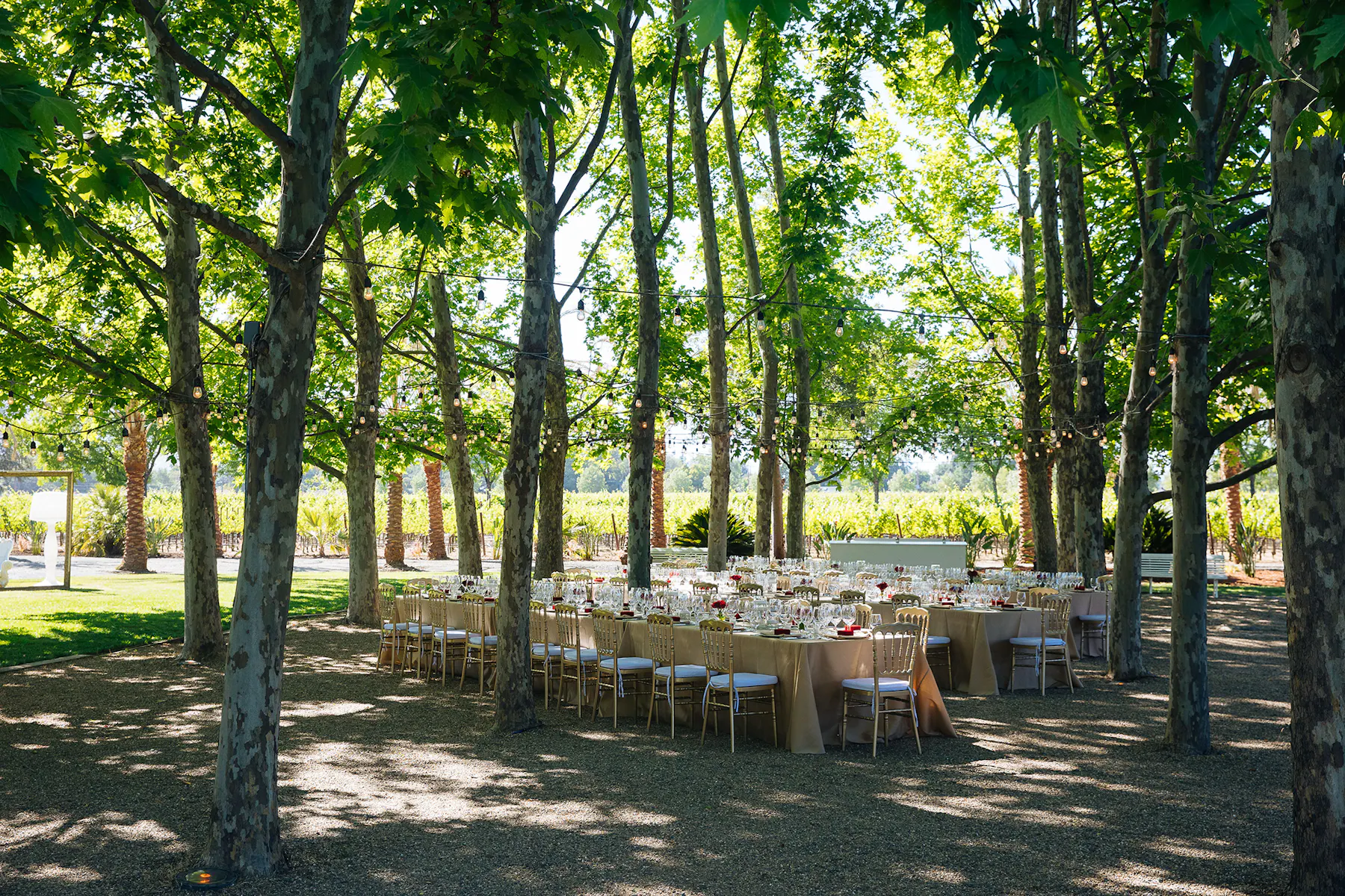 Raymond Vineyards - St. Helena, CA | Tock