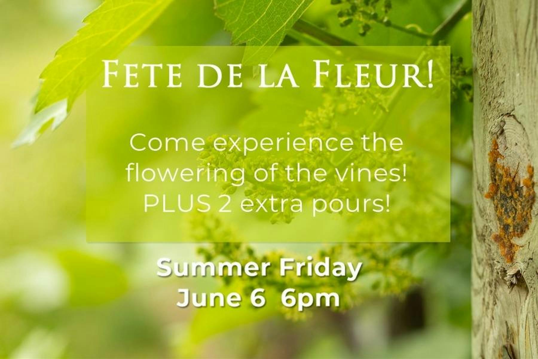 7 Vines Vineyard - Dellwood, MN | Tock