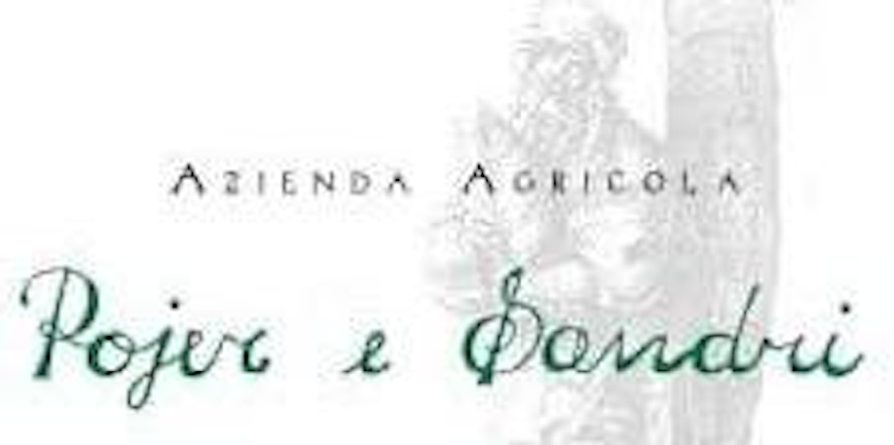 Cafe Lago - Dinner Reservation - Seattle, WA | Tock