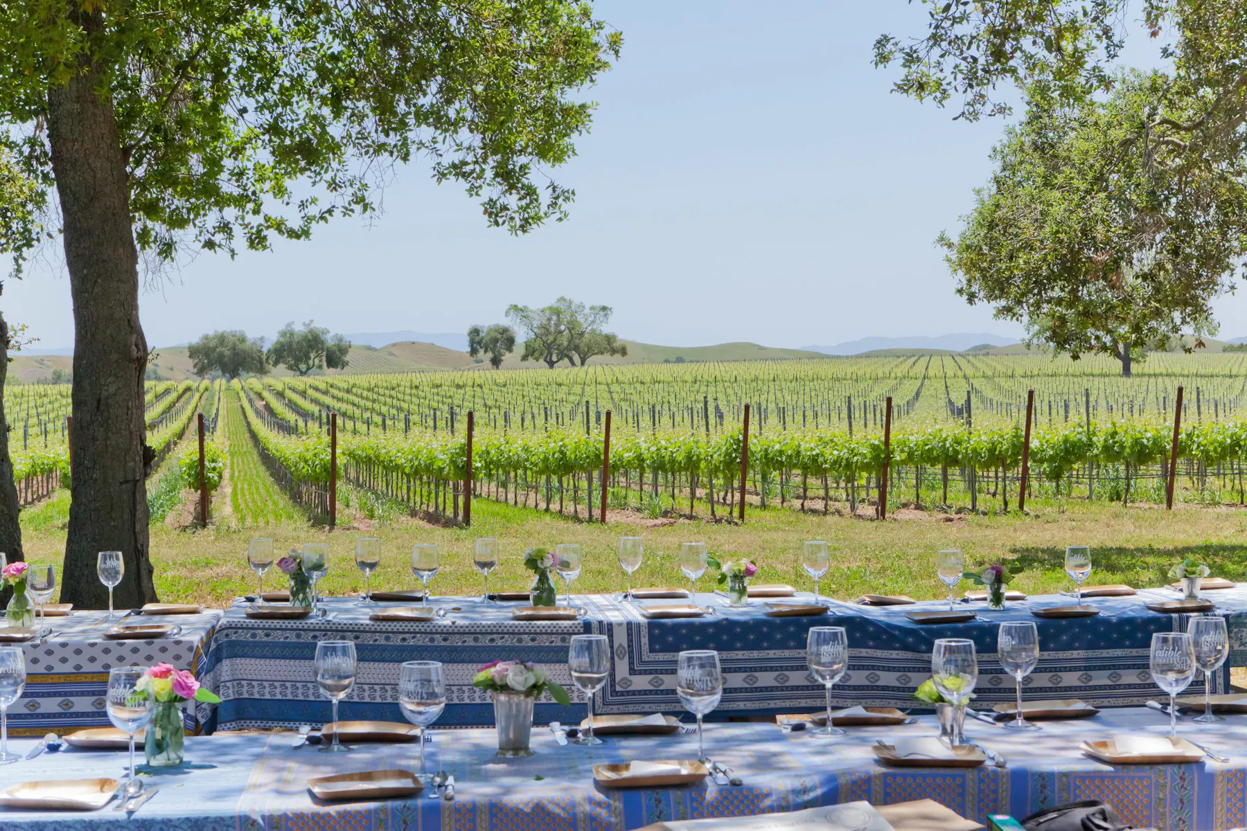 Buttonwood Farm & Vineyard - Solvang, CA | Tock