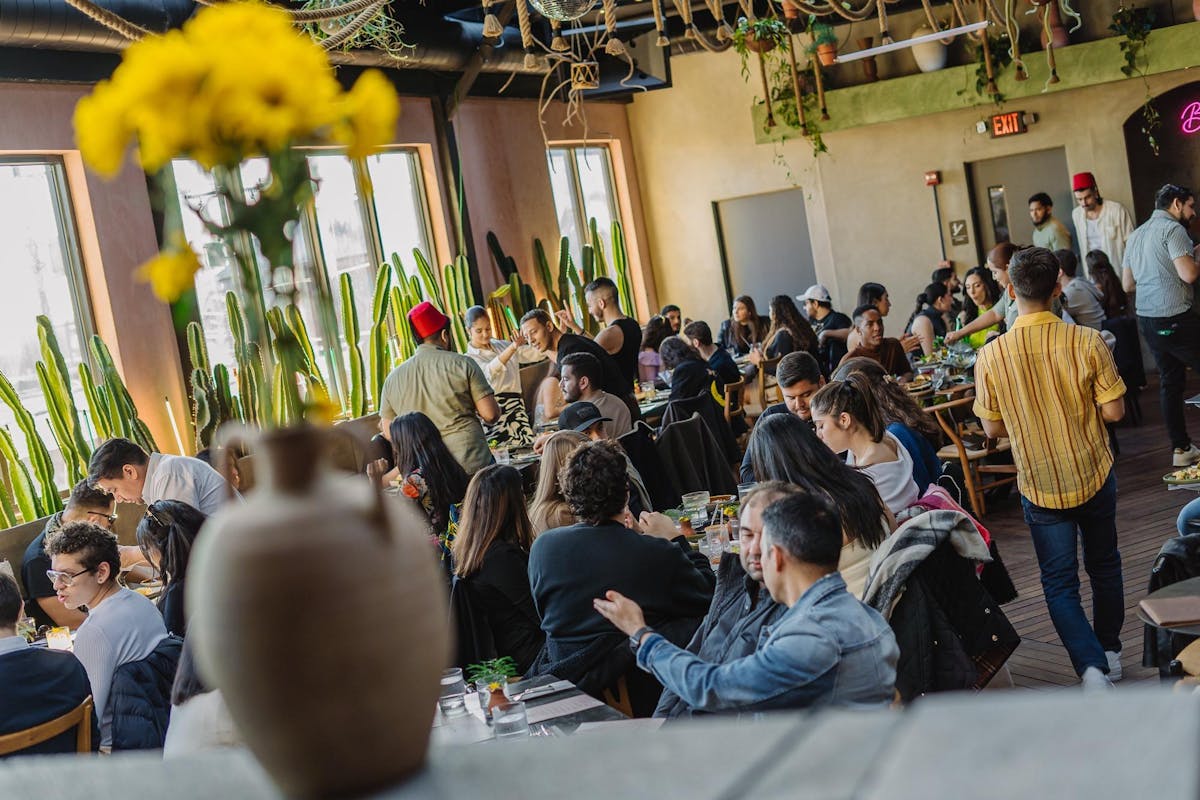 Vera Cocina & بار - Dinner - Main Dining Room Reservation - Washington ...