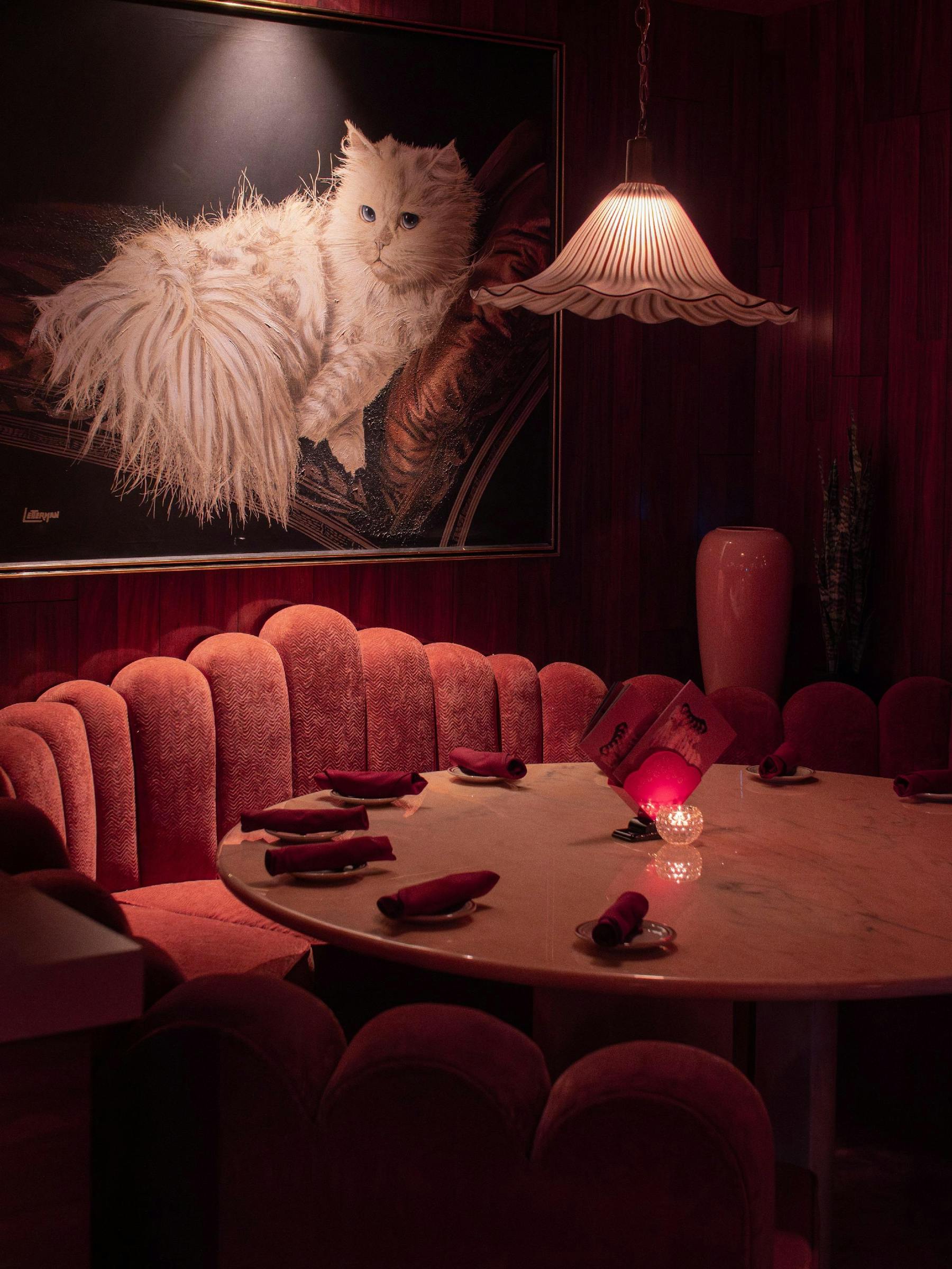 Meo - Vancouver, BC | Tock